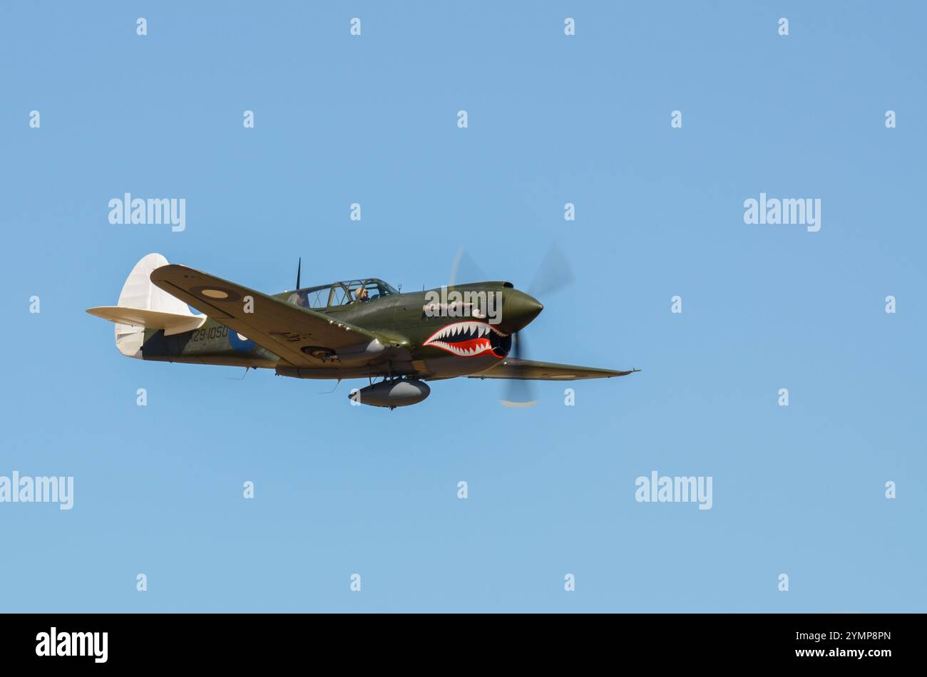 Curtiss P-40 Warhawk flying at Wings over Wairarapa airshow, Hood ...