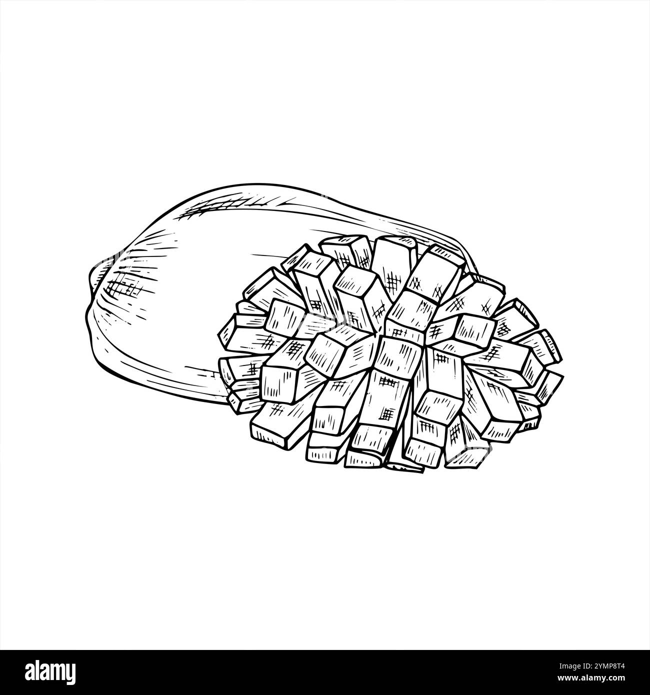 Whole and half mango with cubes vector line art black and white ink ...