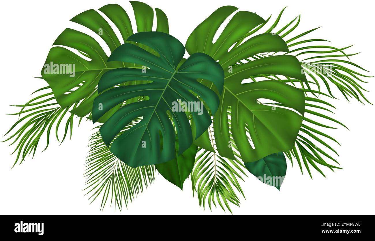 Summer tropical composition with various green palm leaves. Vector ...