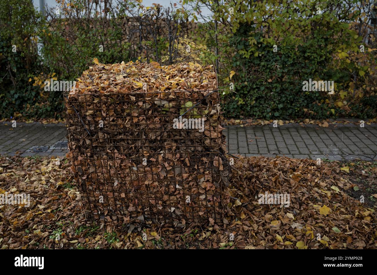 Filled leaf collection bin, collection bin for leaves in places with ...