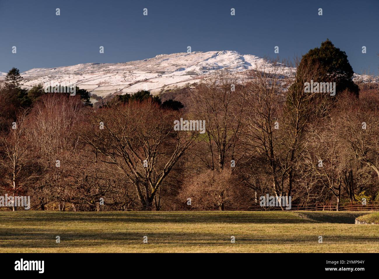 Snow covered mountain and trees in the Snowdonia National Park, North ...