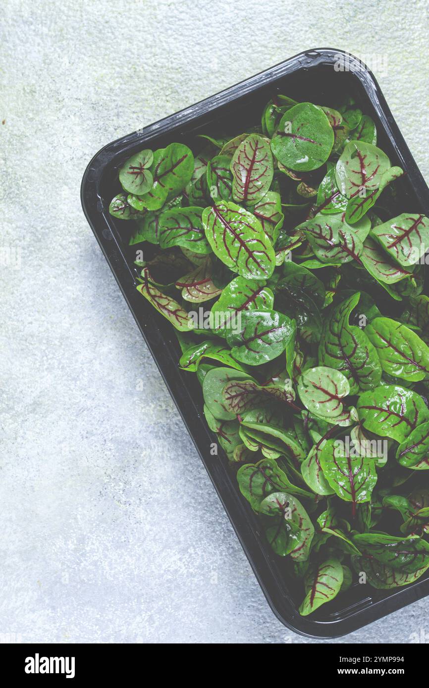 Sorrel, bloody Mary, fresh baby sorrel leaves, with red veins ...