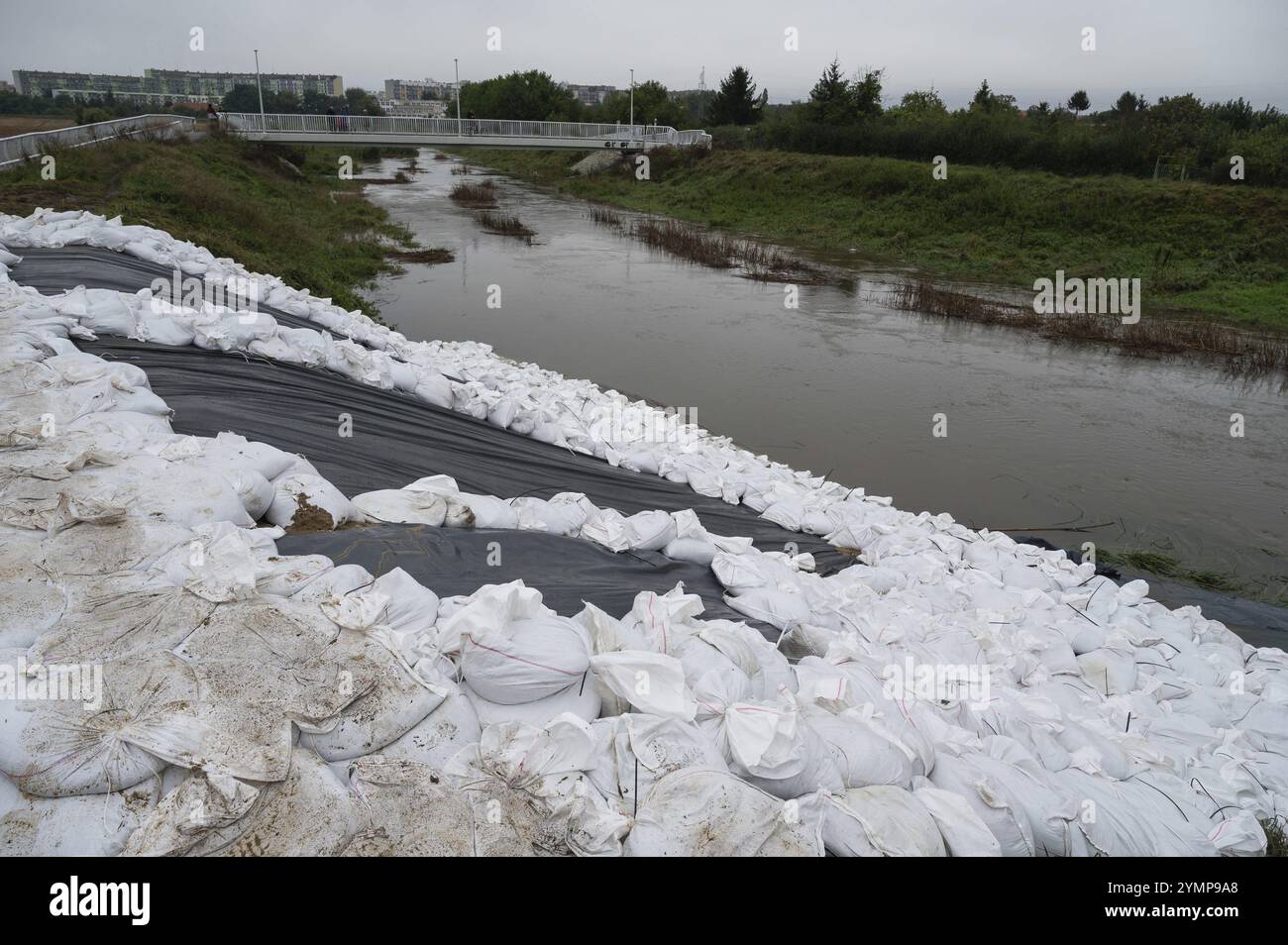 Reinforcement of river embankments with foil and sandbags, flood risk ...
