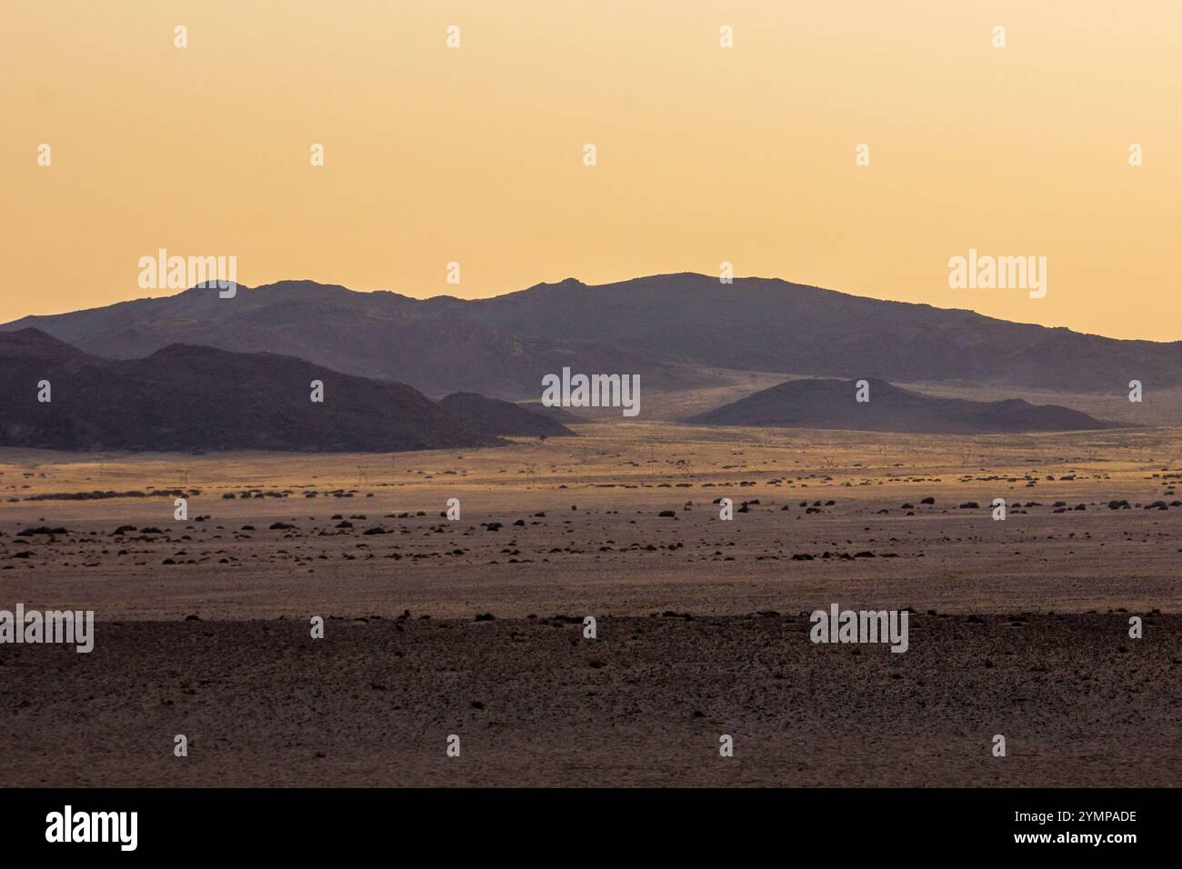 Distant hills at dawn on the flat gravelly plains of the southern Namib ...