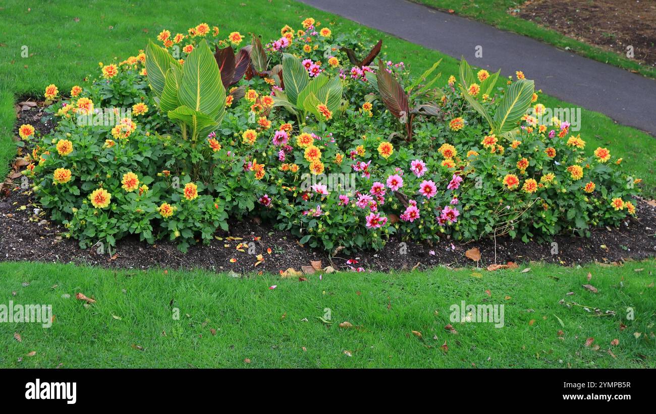 Borough Gardens, Dorchester, Dorset, England. 1 October 2024. Botanical ...