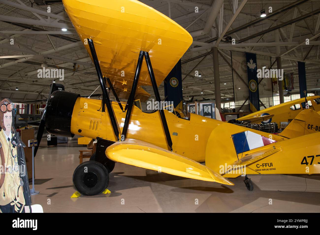 Fleet 16 finch hi-res stock photography and images - Alamy