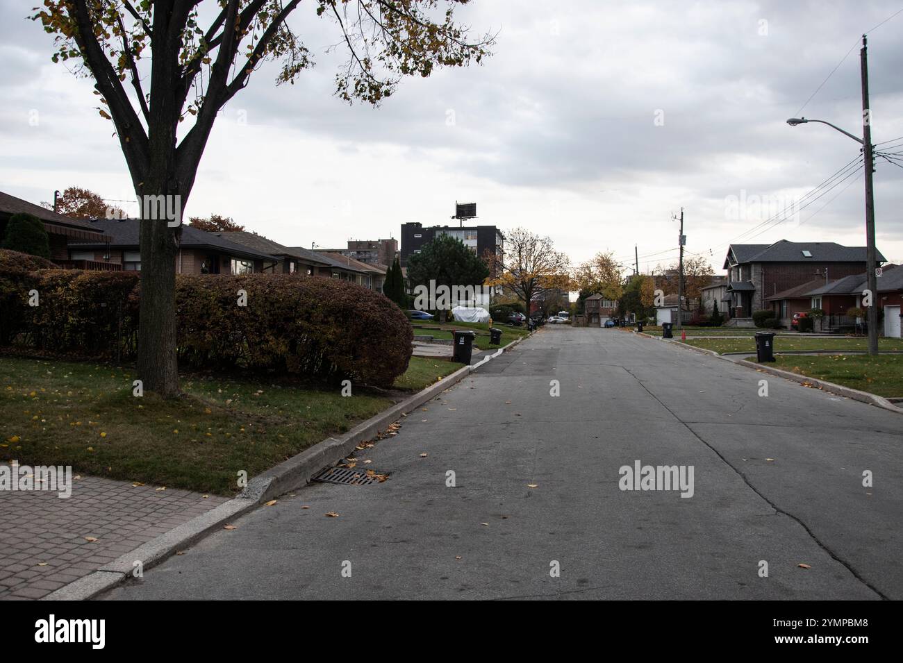 Saddle ridge hi-res stock photography and images - Alamy