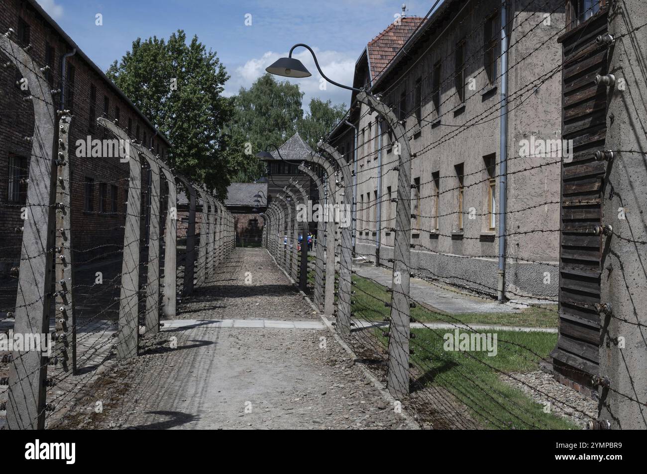 Fence made by barbed wire in the German nazi concentration camp ...