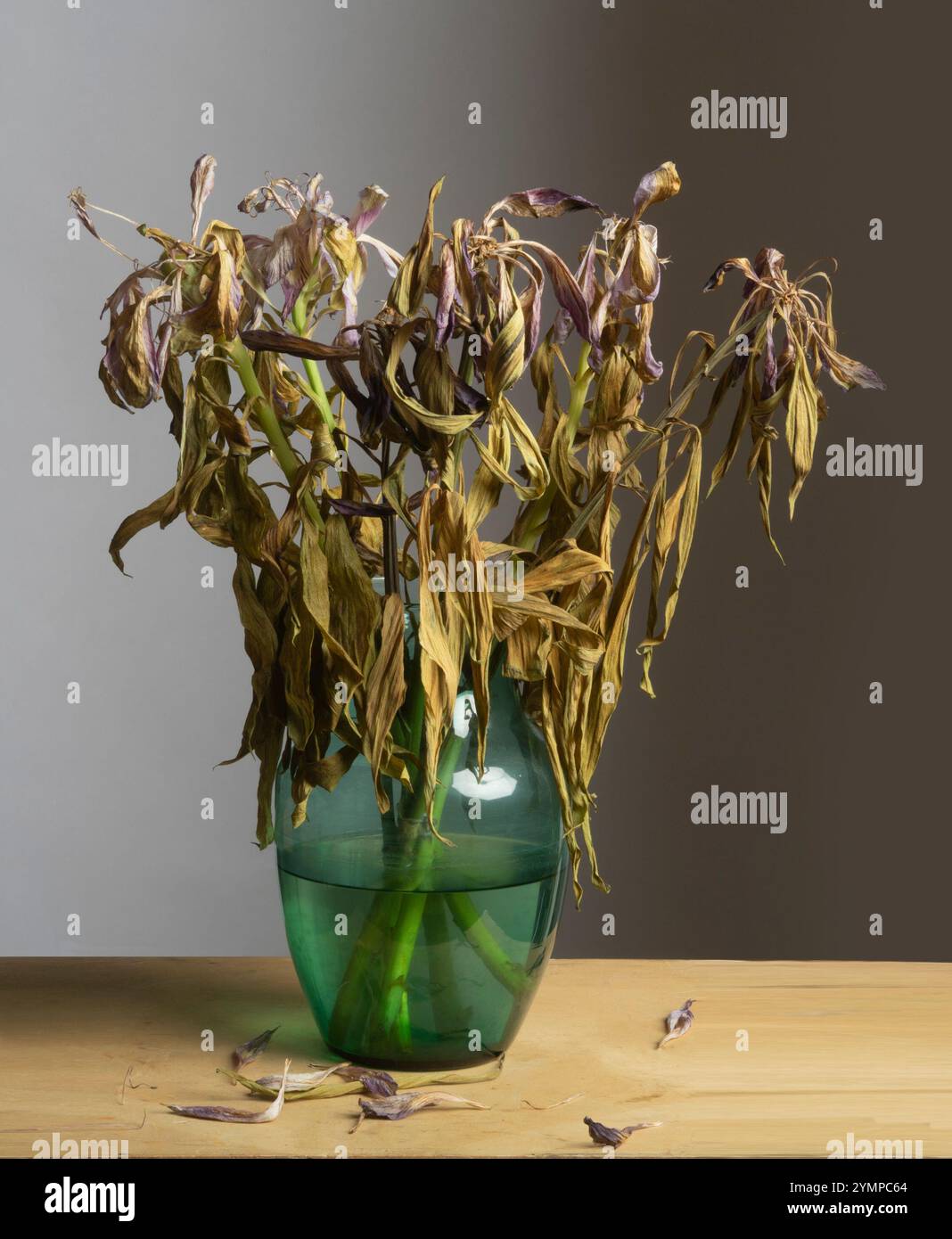 Day dead banner dia hi-res stock photography and images - Alamy