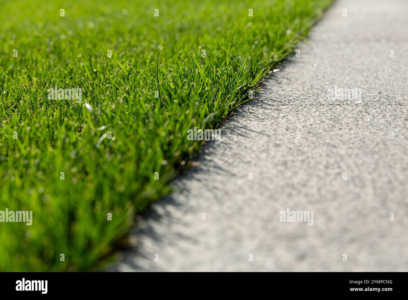 Close up of green grass lawn and granite pathway as a part of garden ...
