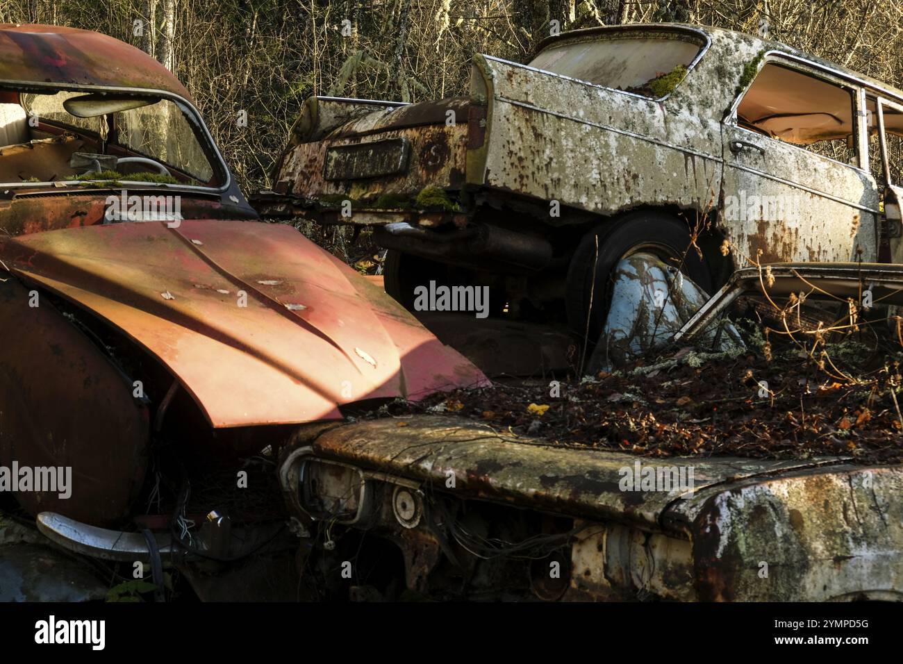 Car cemetery sweden hi-res stock photography and images - Alamy