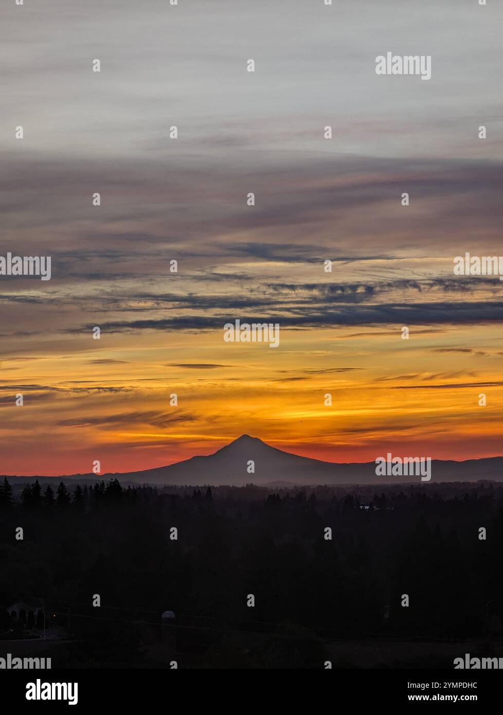 Fiery canopy hi-res stock photography and images - Alamy