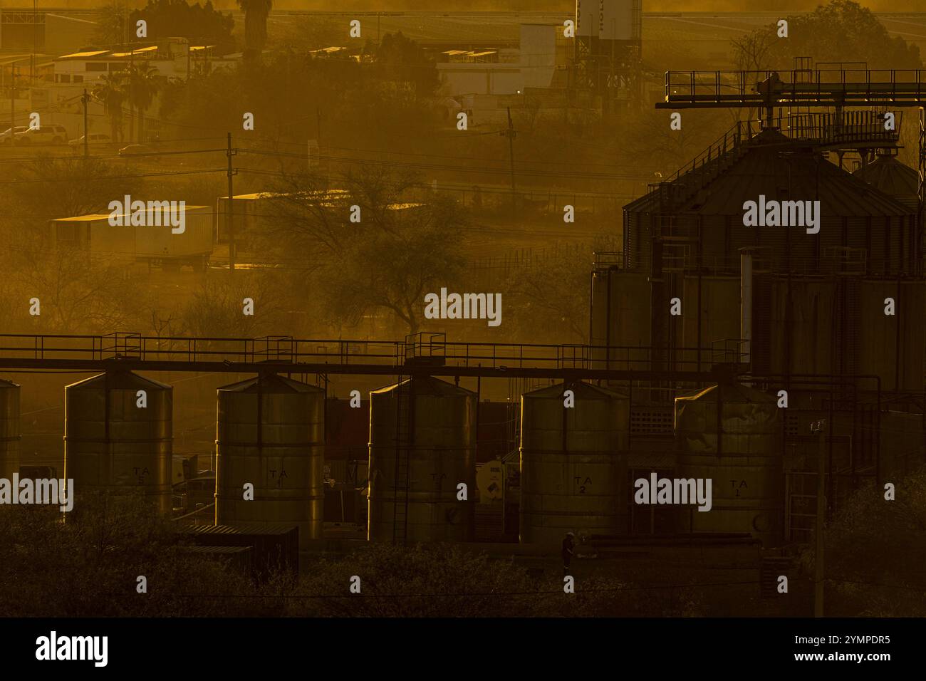containers at sunset from the Selecta Group for food production ...