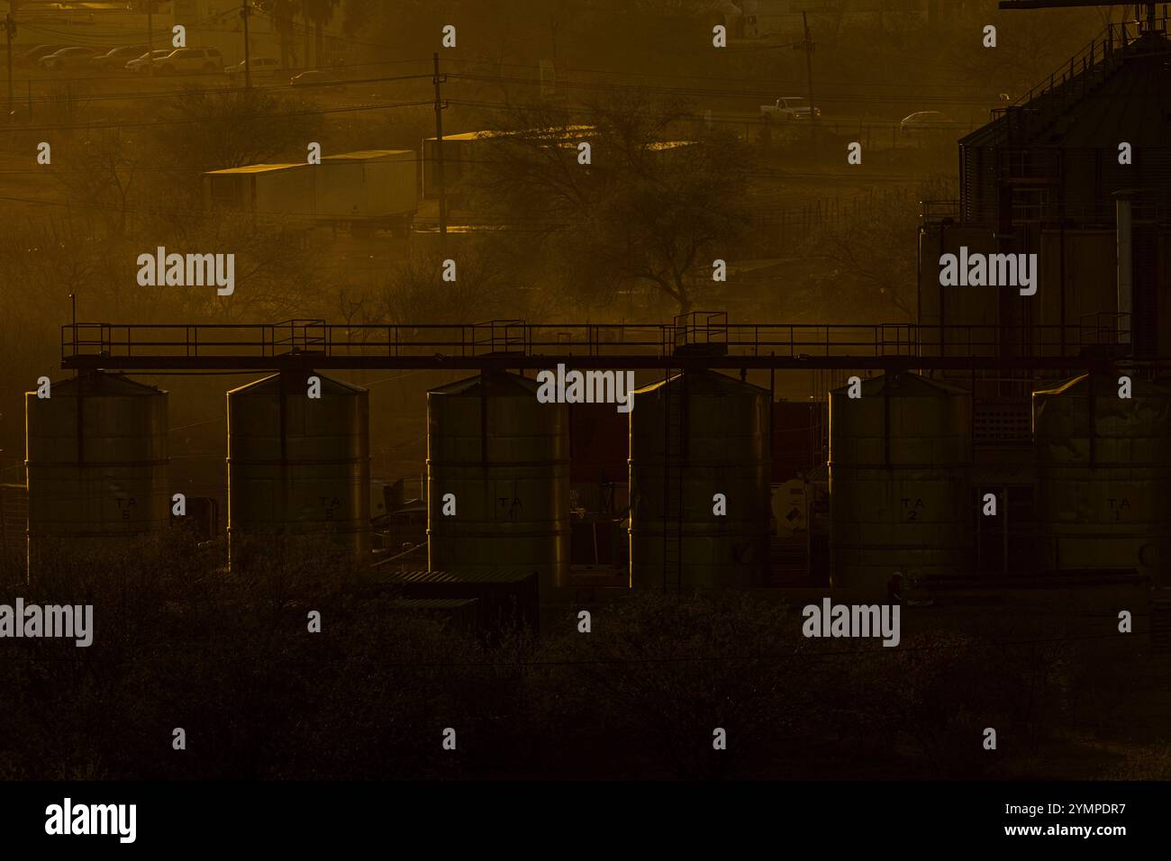 containers at sunset from the Selecta Group for food production ...