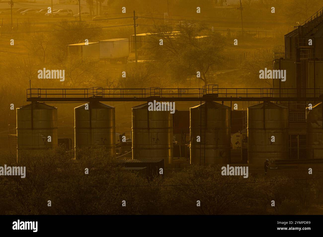 containers at sunset from the Selecta Group for food production ...