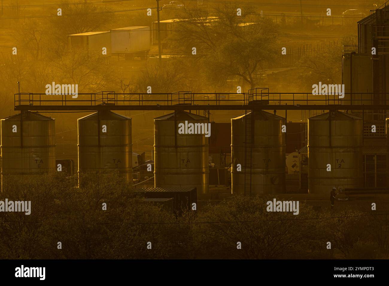 containers at sunset from the Selecta Group for food production ...