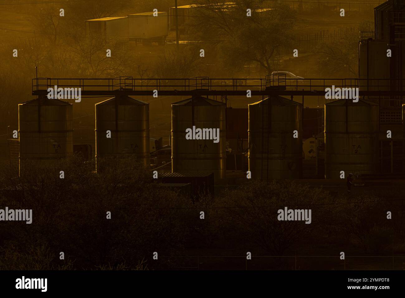 containers at sunset from the Selecta Group for food production ...