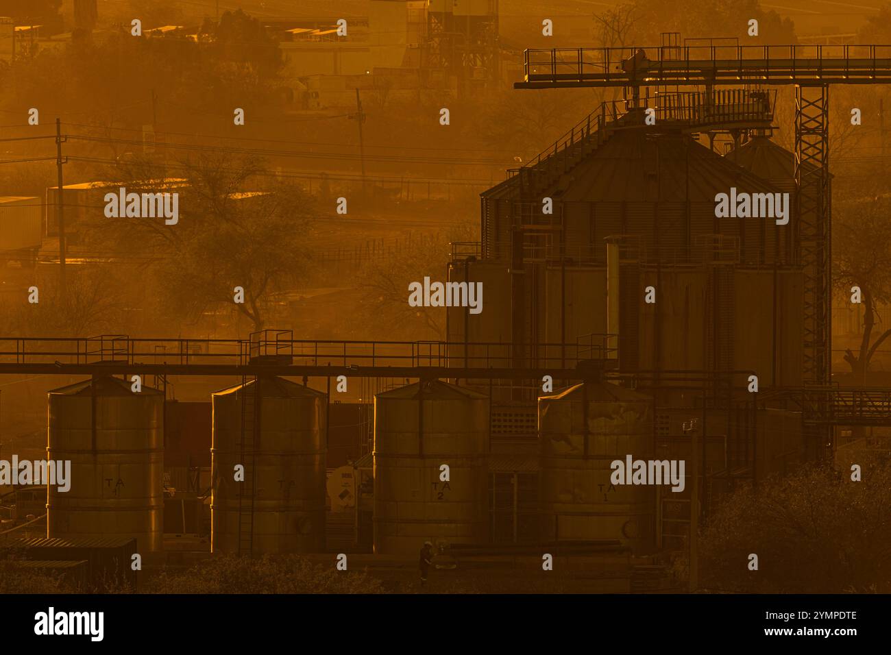 containers at sunset from the Selecta Group for food production ...