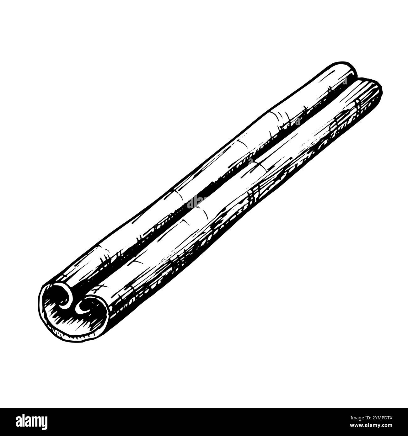 Hand drawn vector illustration of a cinnamon stick in detailed black ...