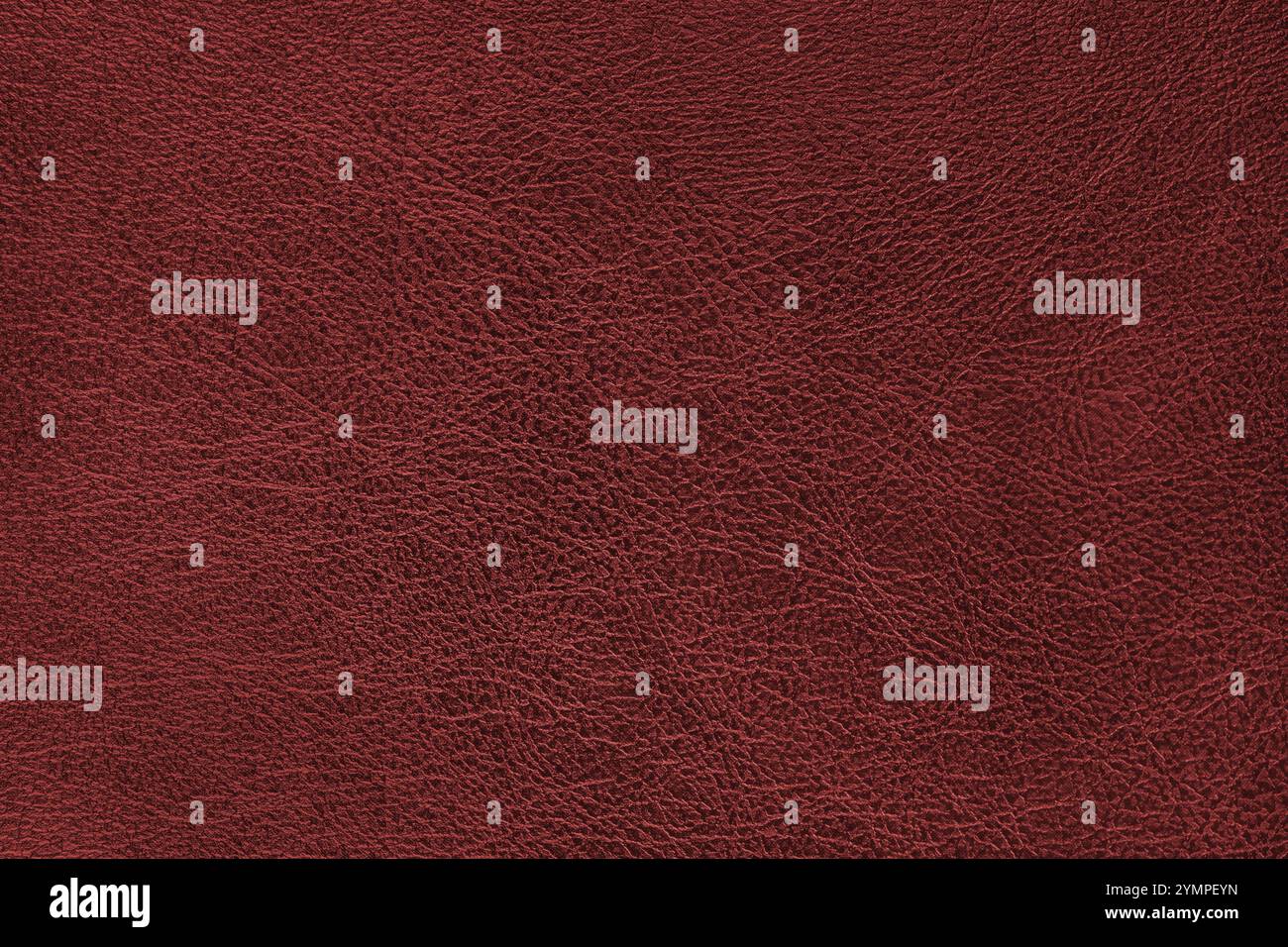 Shiny skin texture hi-res stock photography and images - Alamy
