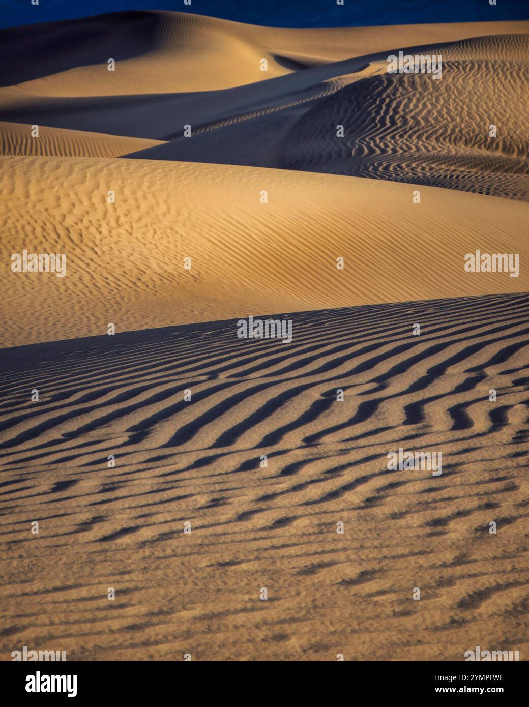 Arid aesthetics hi-res stock photography and images - Alamy