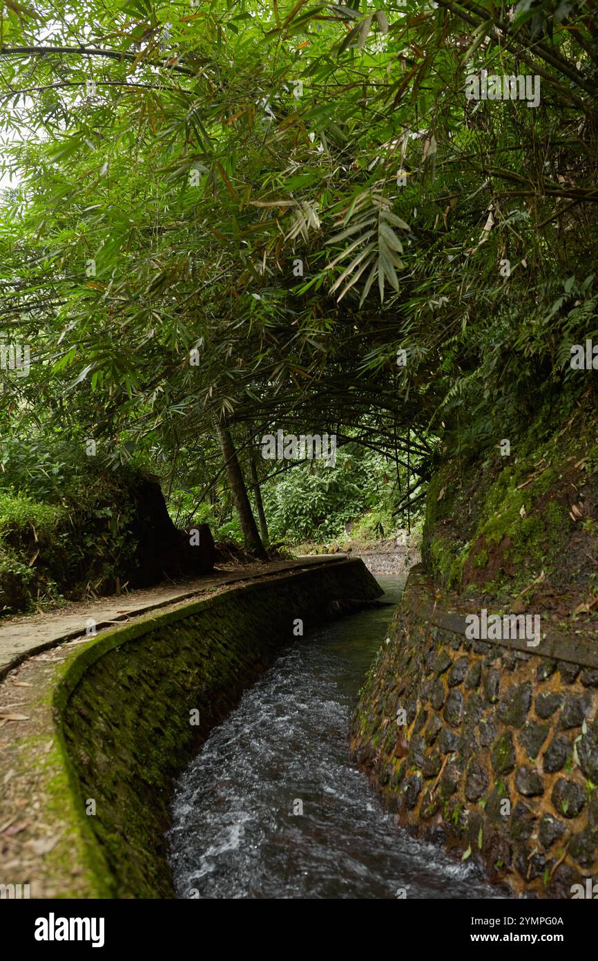 A canal with a river and a path climbing a mountain in the jungle on ...