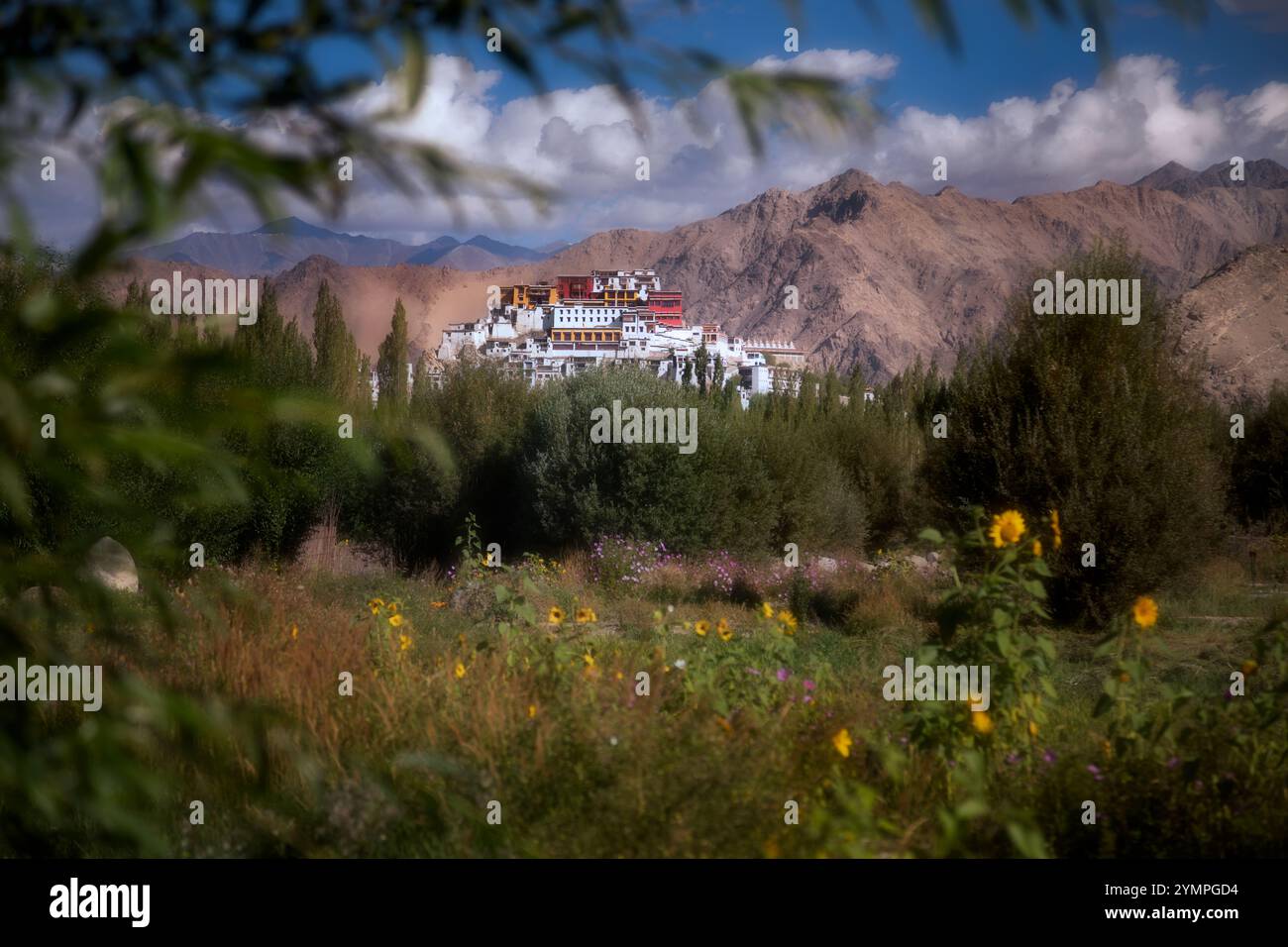 Thiksey Monastery in Ladakh, India Stock Photo - Alamy