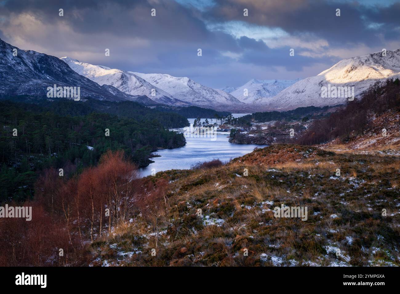 Glen Affric in the Scottish Highlands in autumn Stock Photo - Alamy
