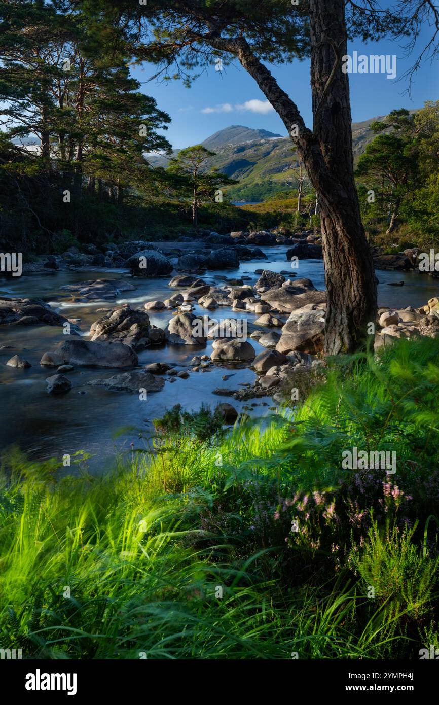 The River Grudie in Torridon, Scottish Highlands Stock Photo - Alamy
