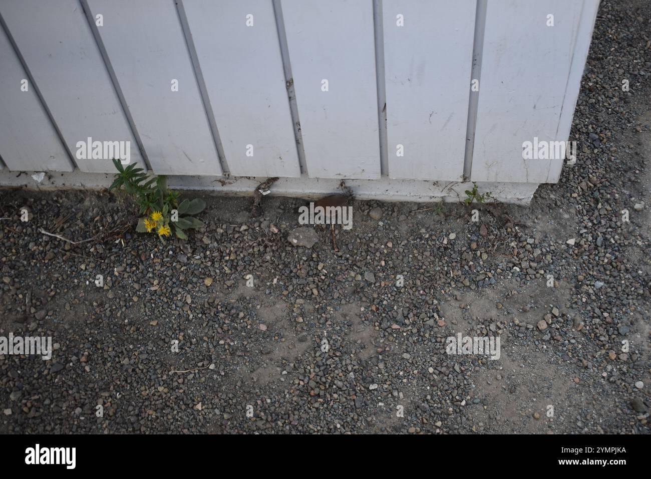 Cabrillo National Monument Point Loma in San Diego, is a magnificent ...