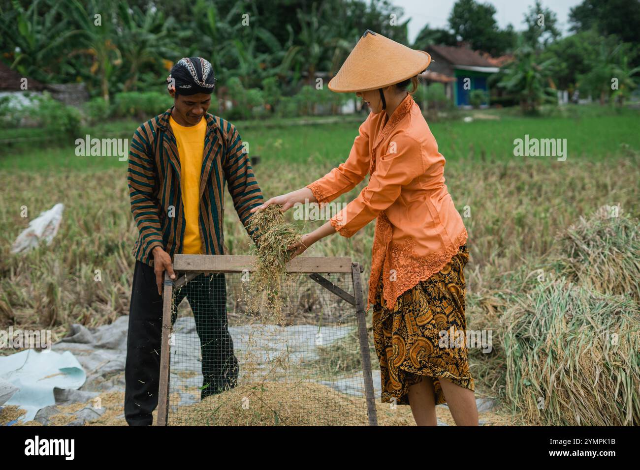 Harvesting Together Embracing Traditional Farming Practices in a Rural ...