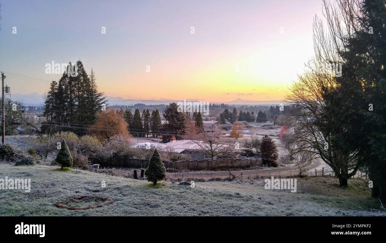 Frost at Dawn Stock Photo - Alamy