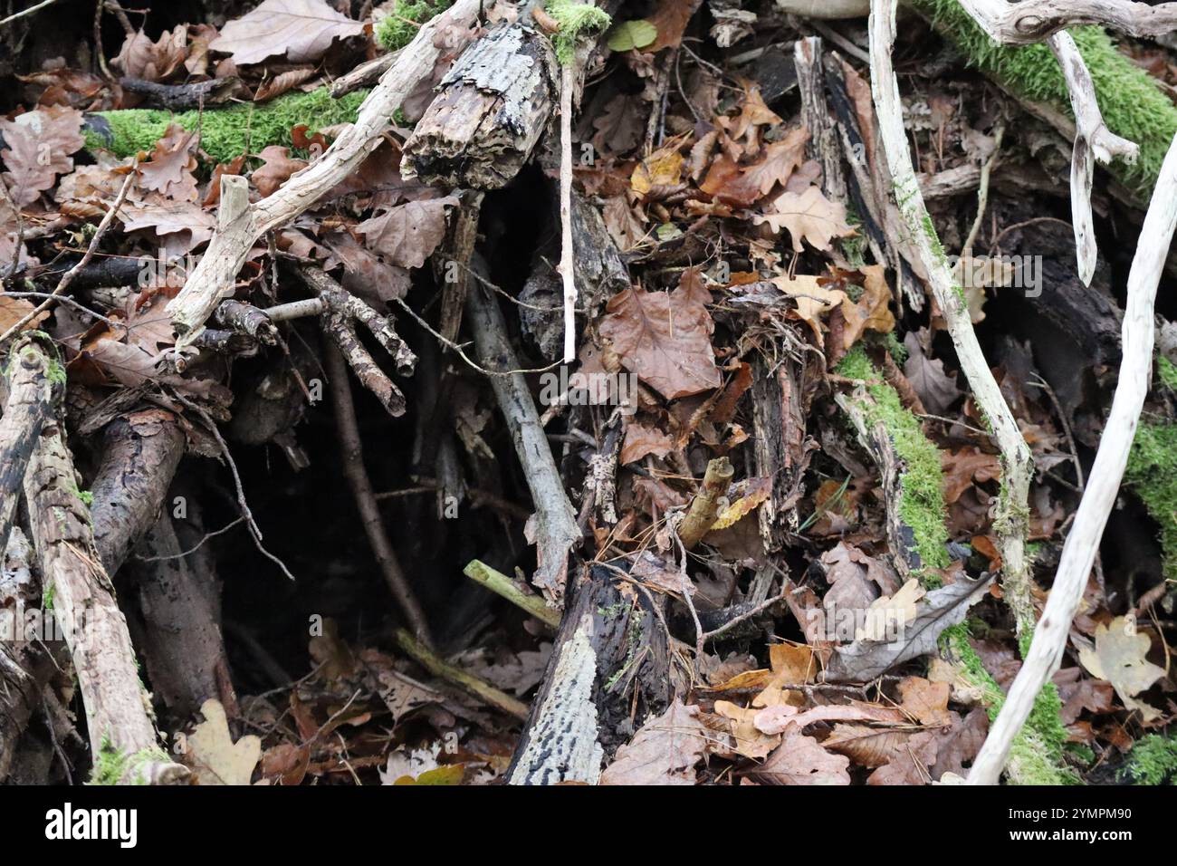 Cave like hi-res stock photography and images - Alamy