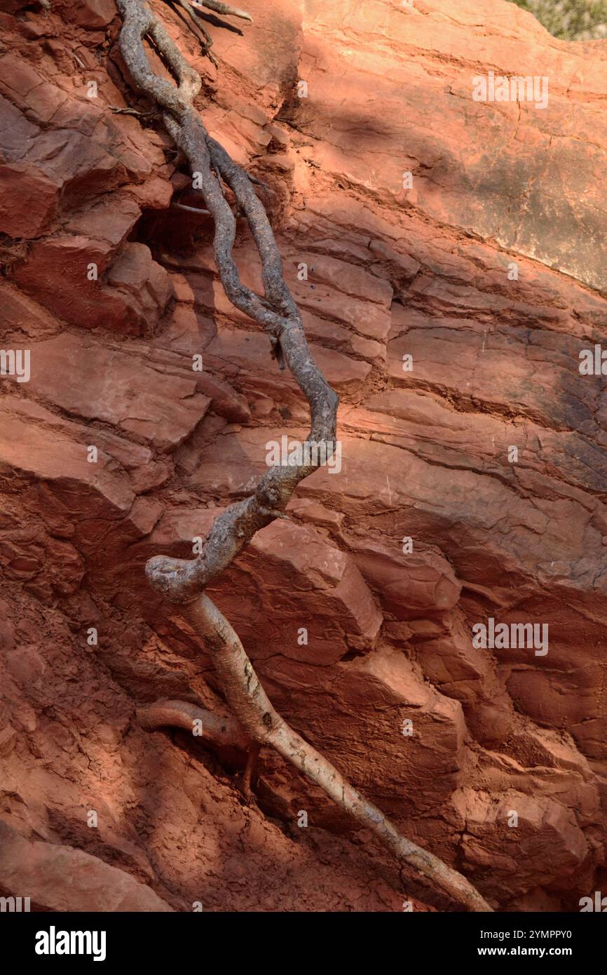 Sandstone rock stratum Stock Photo - Alamy