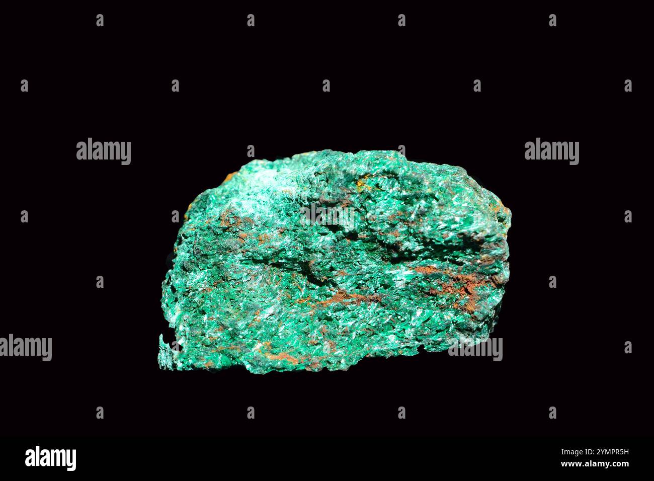 Fibrous nature hi-res stock photography and images - Alamy