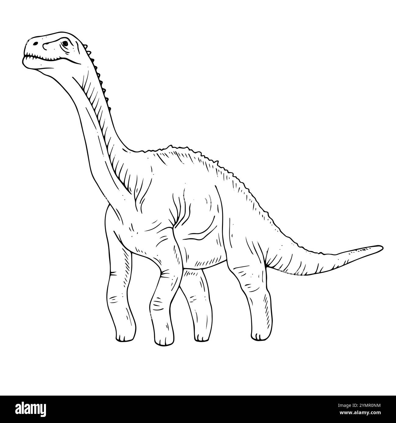 Graphics vector black and white dinosaur. Black line illustration with ...