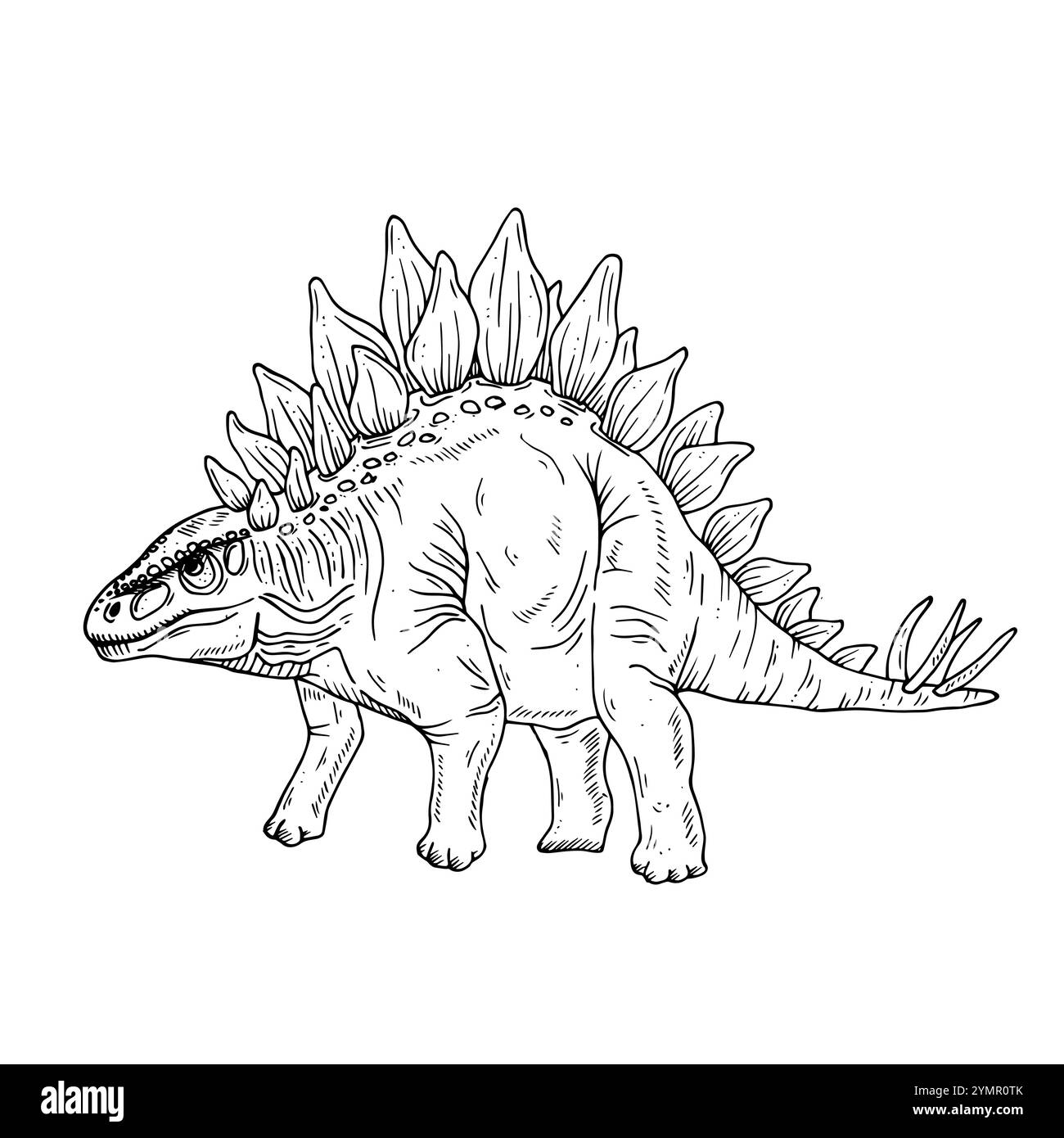 Graphics vector black and white dinosaur. Black line illustration with ...