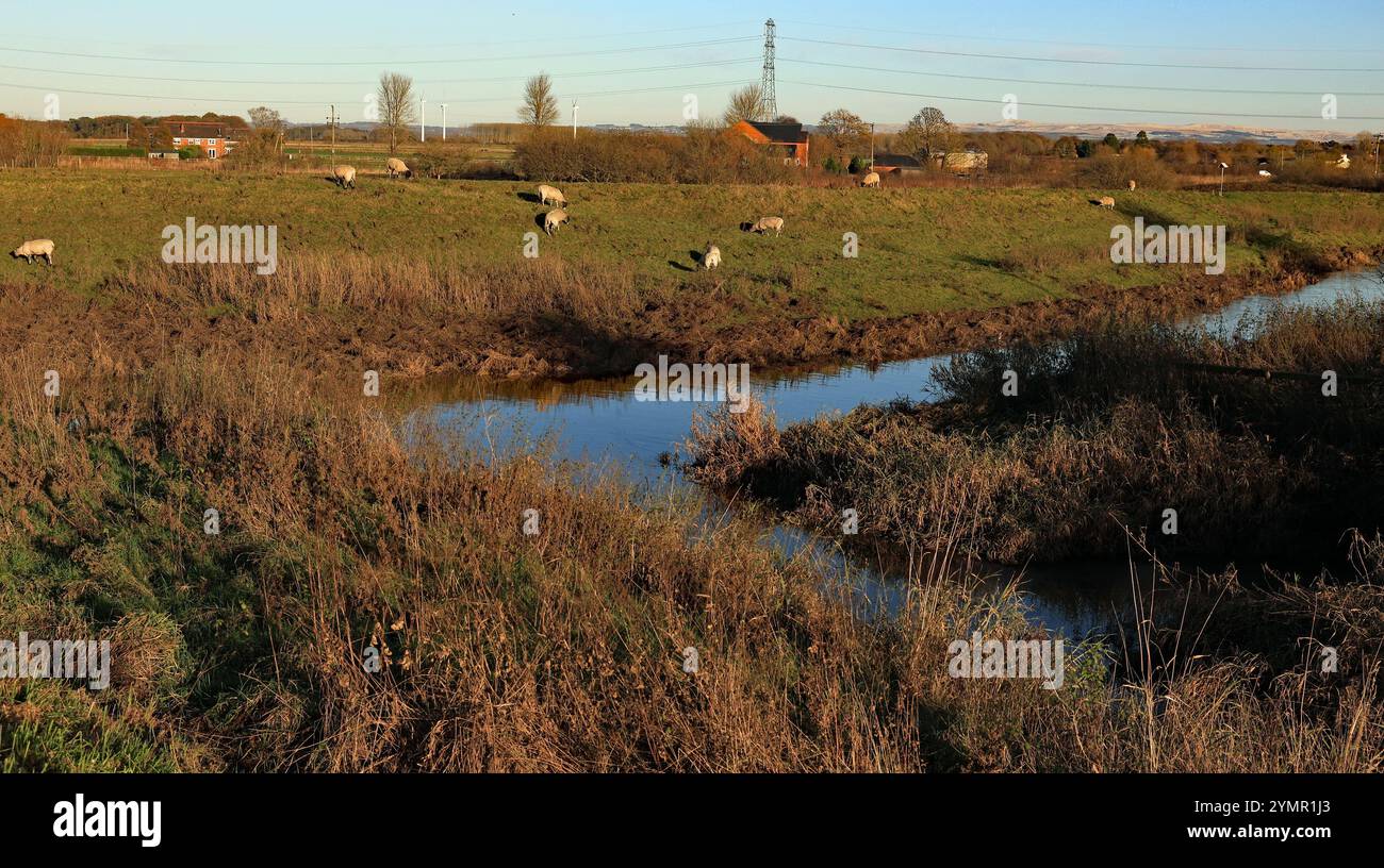 The Ellerbrook runs through West Lancashire and carries water across the flat lands Just before ...