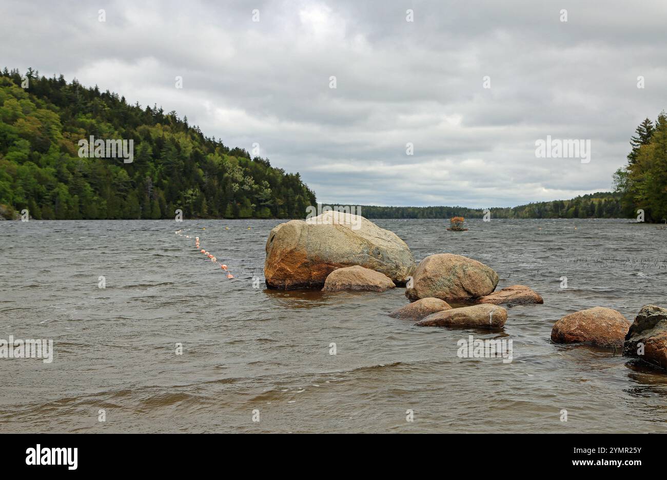 Acadia rocks hi-res stock photography and images - Alamy