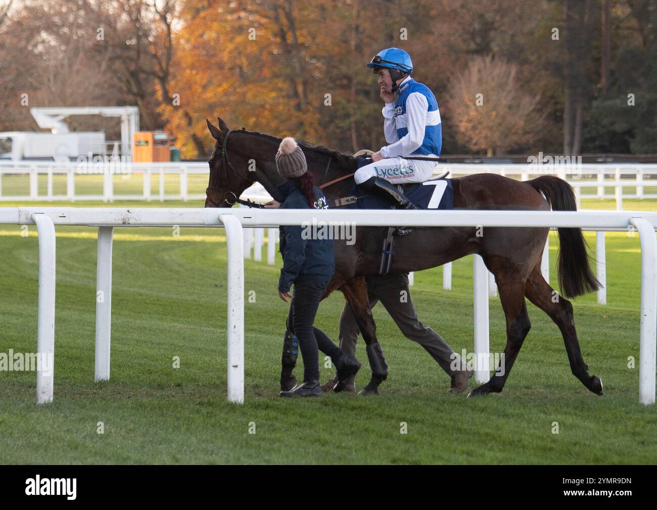 Gemirande horse hi-res stock photography and images - Alamy