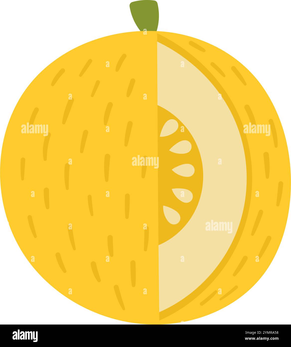 Fruit melon in cartoon hand drawn simple style. Editable variable color ...