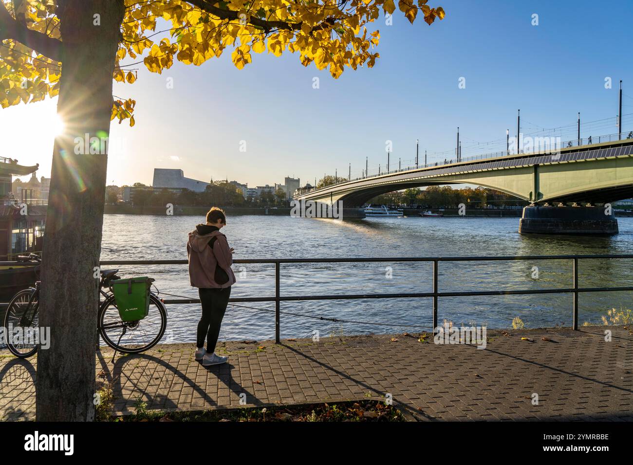 The Kennedy Bridge, the middle of Bonn's 3 Rhine bridges, connects the ...