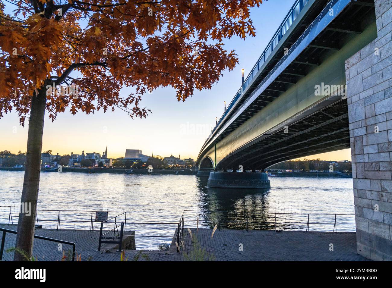 The Kennedy Bridge, the middle of Bonn's 3 Rhine bridges, connects the ...