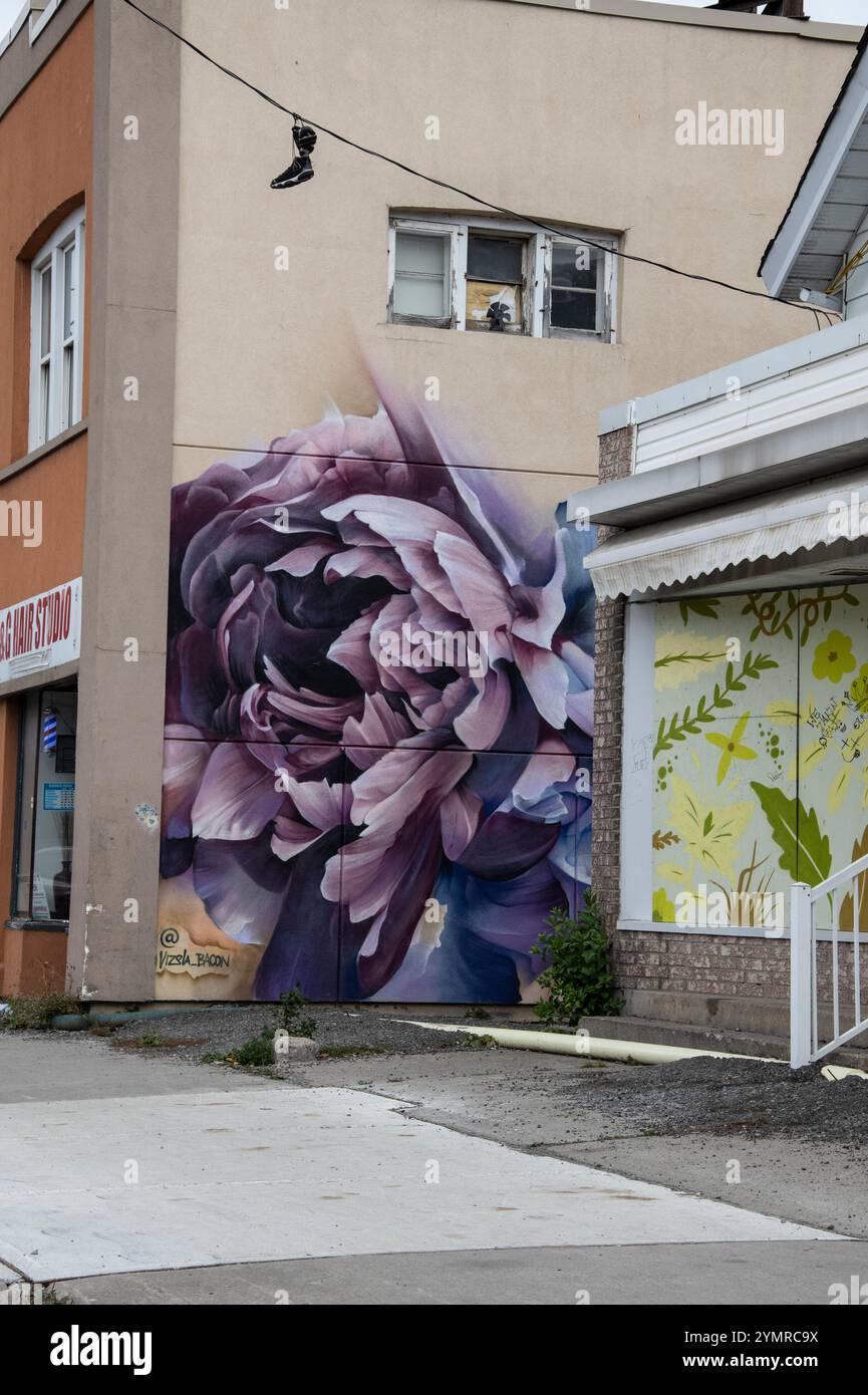 Purple flowers on building in hi-res stock photography and images - Alamy