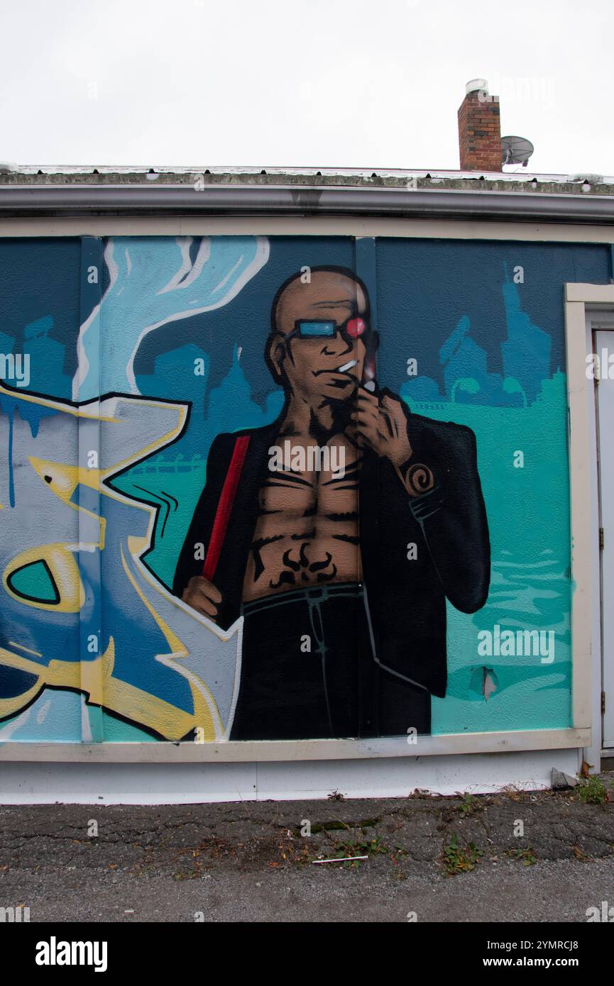 Horseshoe tiger hi-res stock photography and images - Alamy