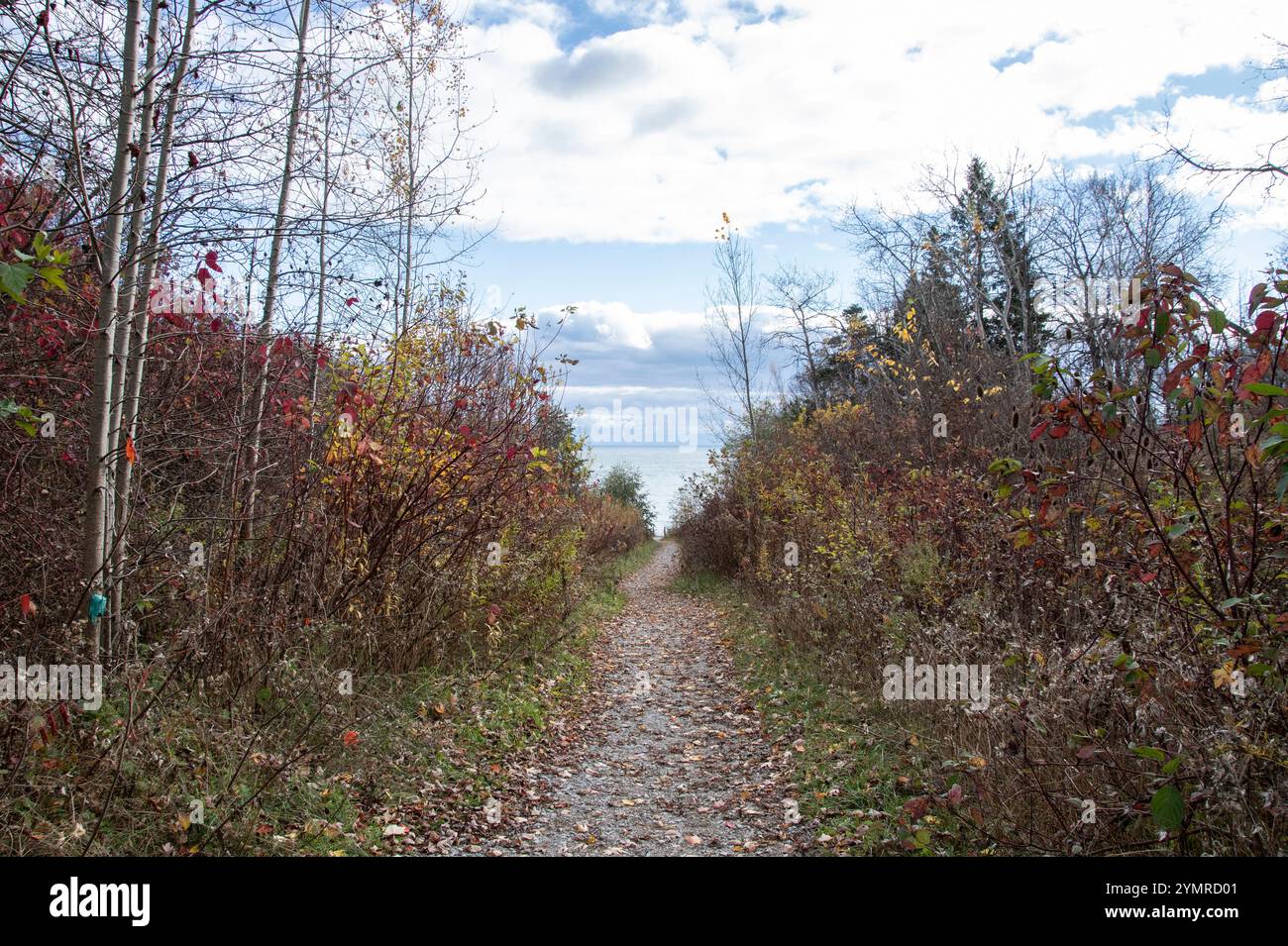 Great Lakes Waterfront trail at East Point Park in Scarborough, Toronto ...