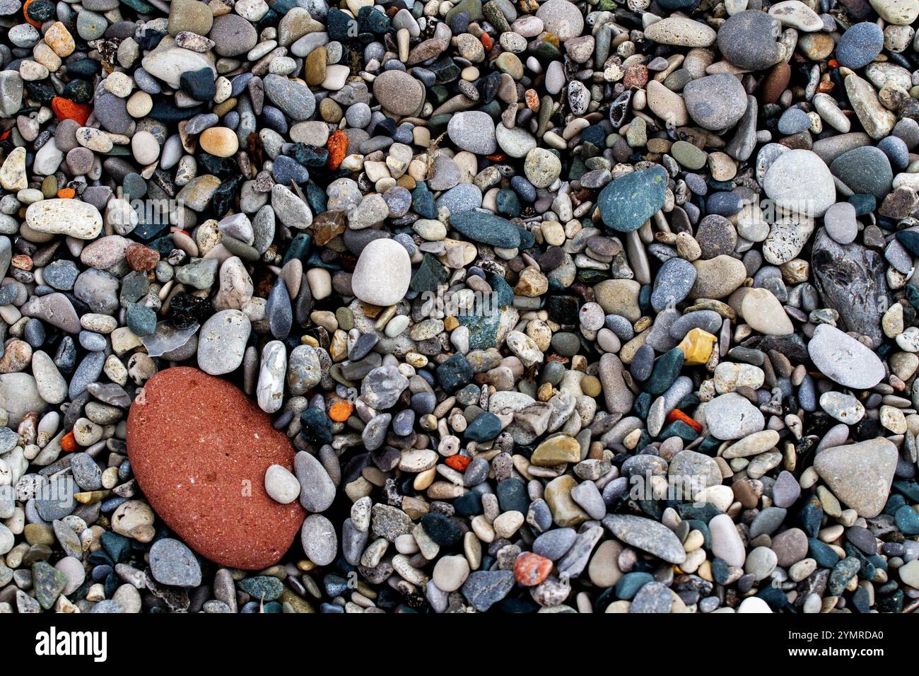 Multi tones hi-res stock photography and images - Alamy