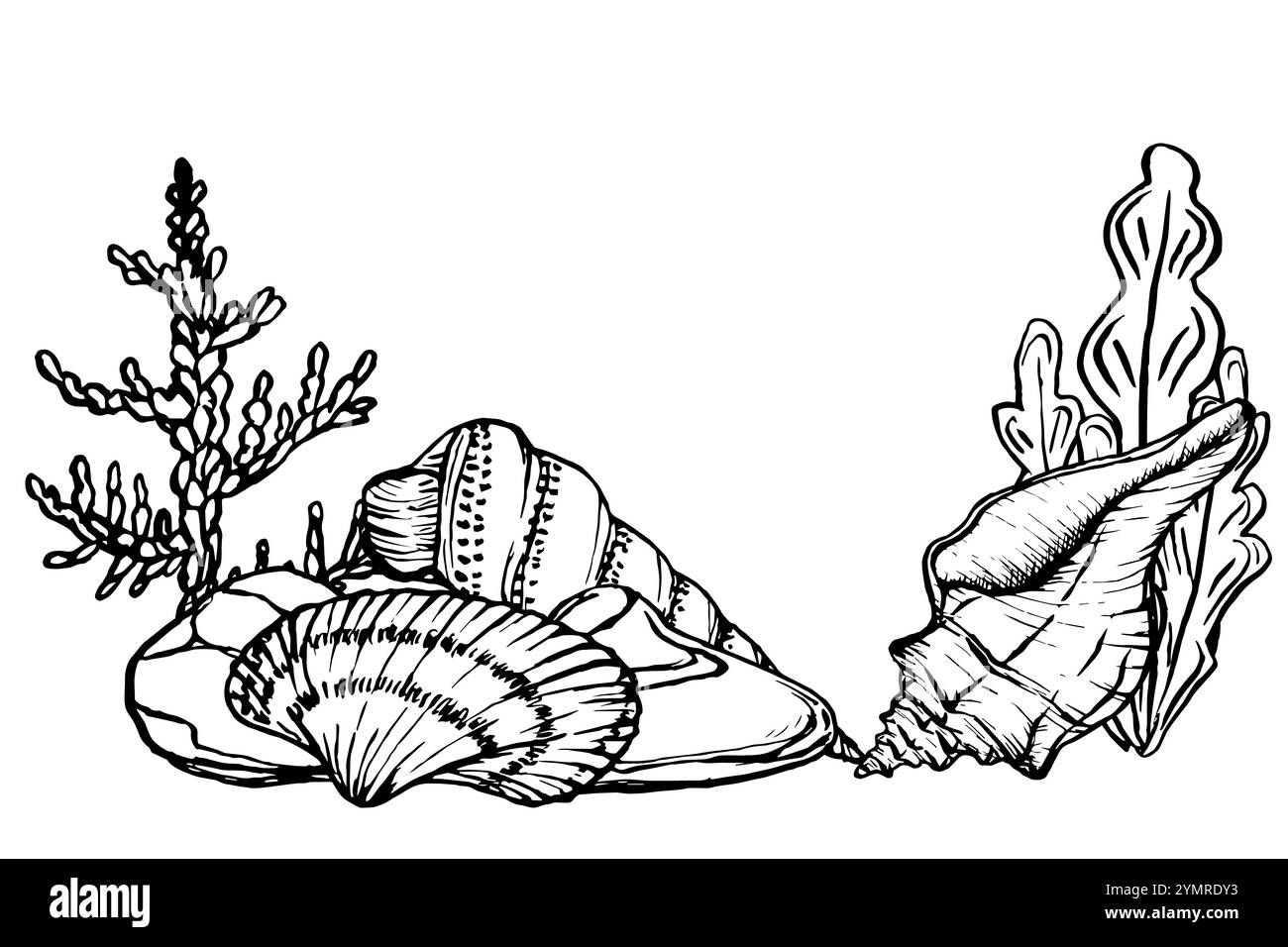 Seabed landscape with Seashells and Seaweed. Underwater design template ...