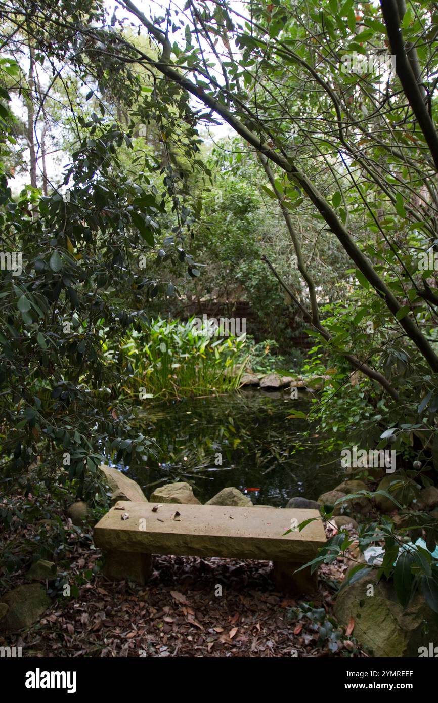 Acclaimed author TC Boyle resides in a Frank Lloyd Wright home in ...