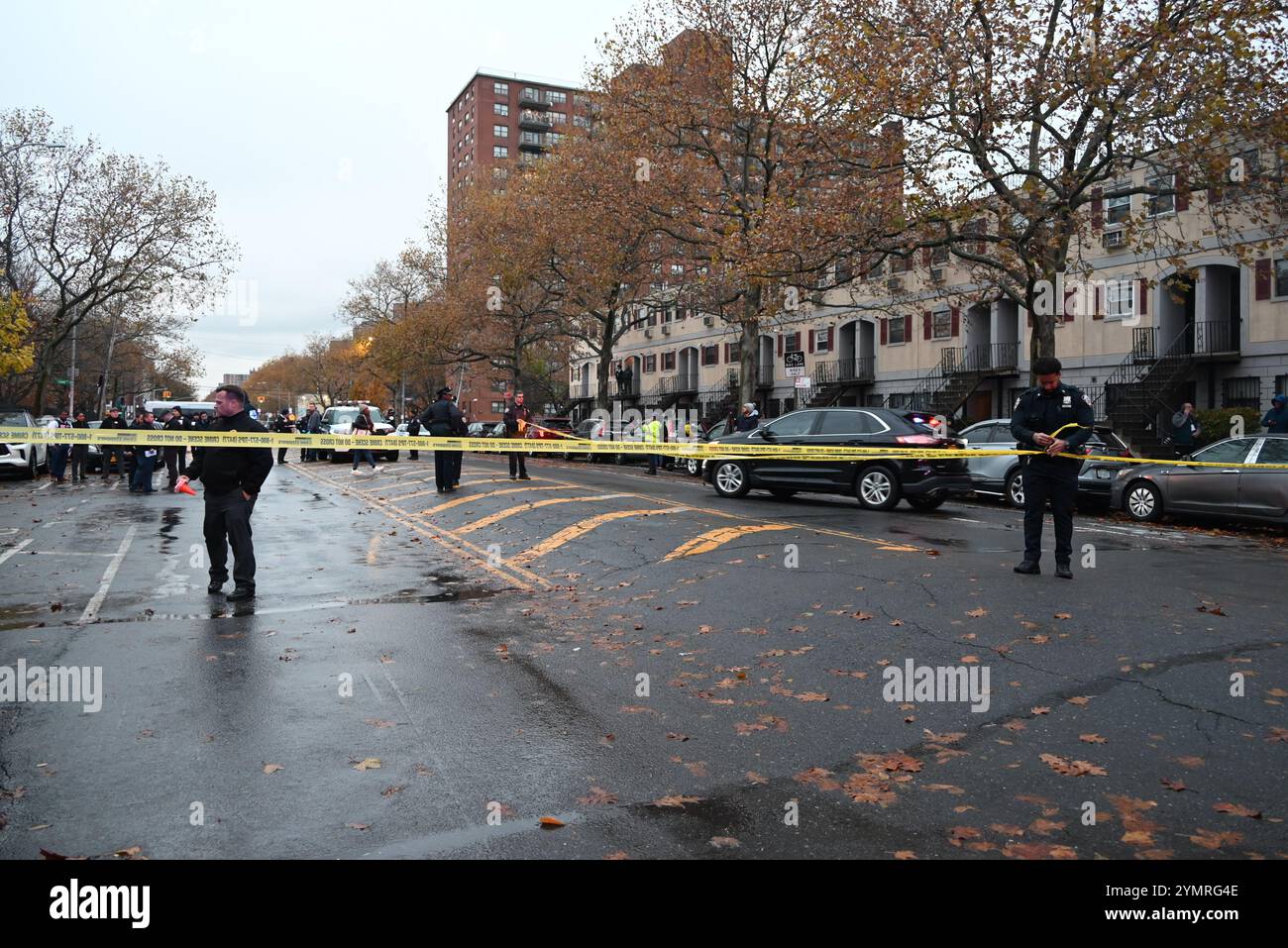 November 22, 2024, Soundview, Bronx, New York, Deer: (new) police ...